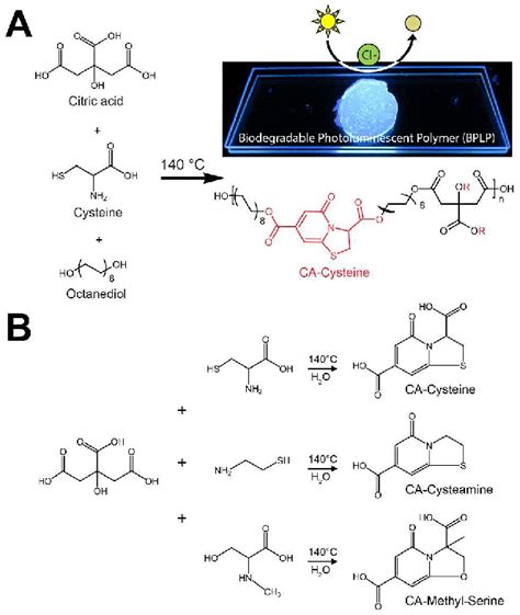 Low Cost Synthesis Of Citrate Based Fluorescent Sensors A One Pot