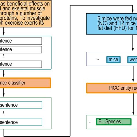 The Workflow Of The Pico Extraction Download Scientific Diagram
