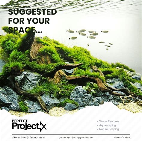 Sandun Perera Posted On Linkedin