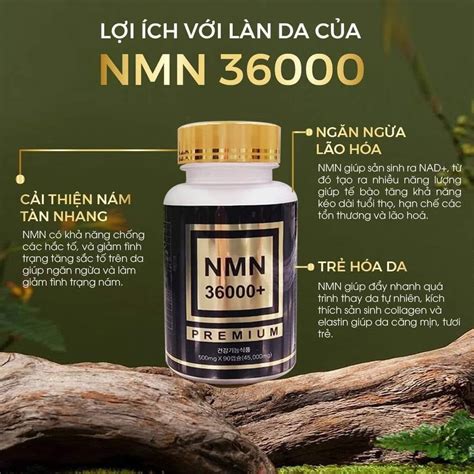 Cách Sử Dụng Viên Uống Nmn Hiệu Quả Nhất Hướng Dẫn Chi Tiết Và Lợi Ích