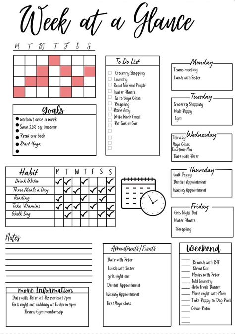 Week At A Glance Weekly Planner Weekly Goals Happy Planner Week