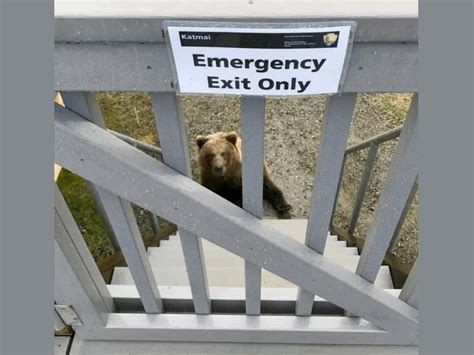 The Emergency Is Waiting For You To Exit Rtechnicallythetruth