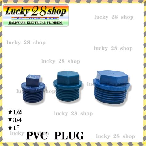 Pvc Pipe Plug With Thread Pipe Fittings Lazada Ph