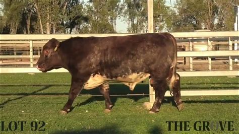 Lot 092 Youtube