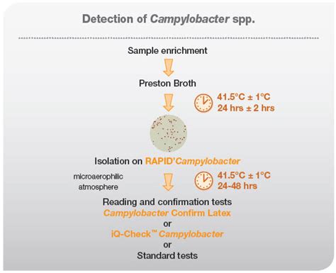 Rapidcampylobacter Medium Food Science Bio Rad
