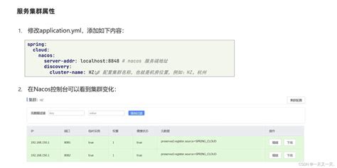 9、springcloudalibaba nacos 服务区域配置 nacos zone csdn博客
