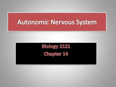 PPT Autonomic Nervous System PowerPoint Presentation Free Download ID 3763961