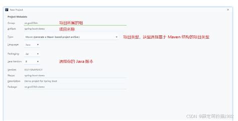 使用 Spring Initializr 创建 Spring Boot 项目 Spring Intitalizer 阿里云 Csdn博客