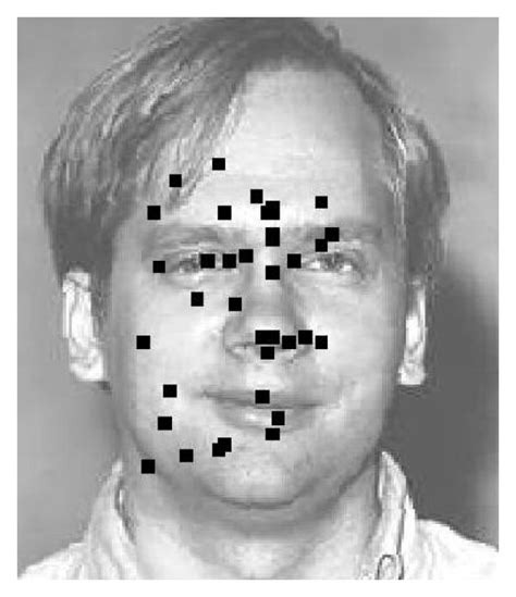 center of the gabor wavelets on a sample face which are selected by the