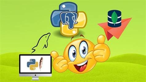 100 OFF Fast Python Programming For Absolute Beginners SQL In Python