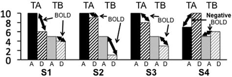 Implications Of Cortical Balanced Excitation And Inhibition Functional