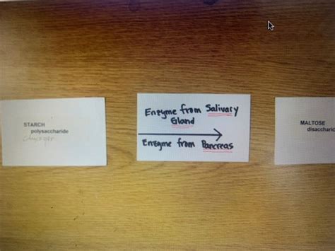 Lab Flashcards Quizlet