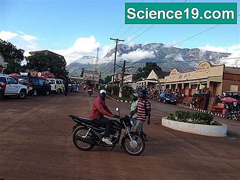 Miks Peaksite Katses Katsetama Ainult ühte Muutujat 💫 Teaduslikud Ja Populaar Multimeedia