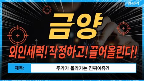 금양 금양 금양전망 금양주가 금양주가전망 금양분석 Youtube