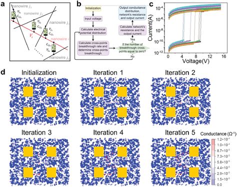 A The Schematic Of The Computational Model B Flow Chart Of The Download Scientific Diagram