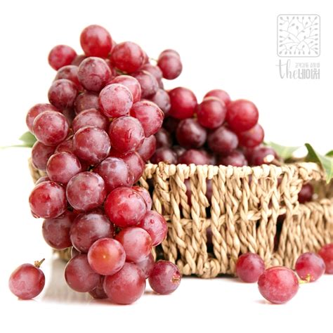 레드글로브 포도 거봉 25kg 크림슨 포도 2kg 티몬