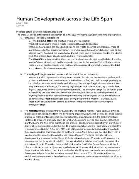 Human Development Across The Life Span 1 3 Stages Of Prenatal