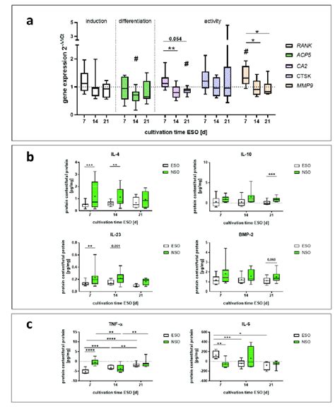 Gene Expression And Protein Data Of Pre Osteoclasts After 48 H