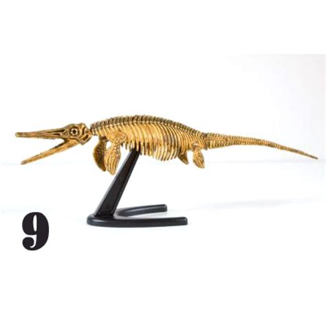 Skeleton Assembly Maxíkovy Hračky