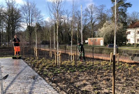 Work In Progress… De Buitenaanleg Aan Marleen Kauffmann Facebook