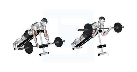 Cheat Curl Guide Benefits And Form Cheat Curl Guide Benefits And Form