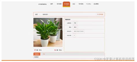 Python Django毕业设计多肉植物屋网站(程序lw) Csdn博客 Python Django毕业设计多肉植物屋网站(程序lw) Csdn博客
