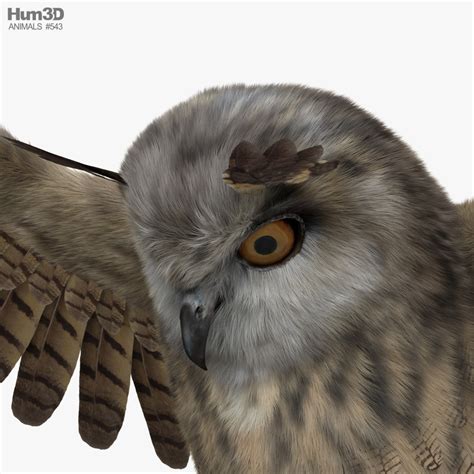 Eurasian Eagle Owl Attacking 3d Model Download Birds On