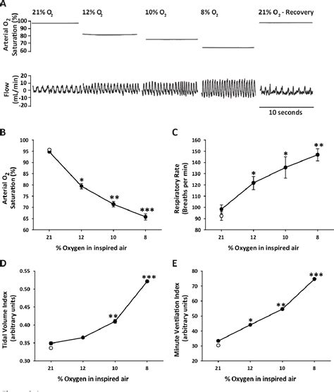 Figure 1 2 From Neurons Projecting To The Paraventricular Nucleus Of