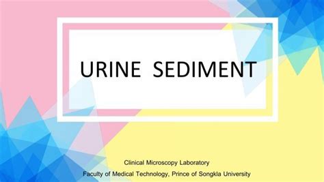 Urine Sediment2