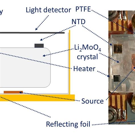Scheme Left And Photograph Right Of The Detector Assembly A Li 2
