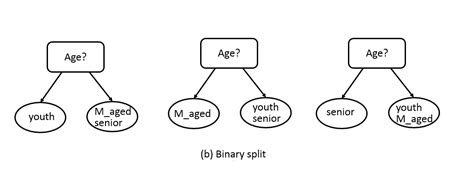 Decision Tree In Hunts Algorithm Do A Data Science Project In Days
