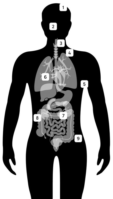 Diagnosing APDS All About APDS