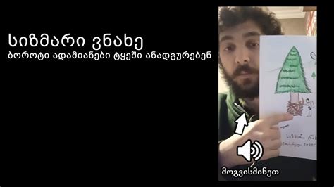 სიზმარი ვნახე ბოროტი ადამიანები ტყეში ანადგურებენ Youtube