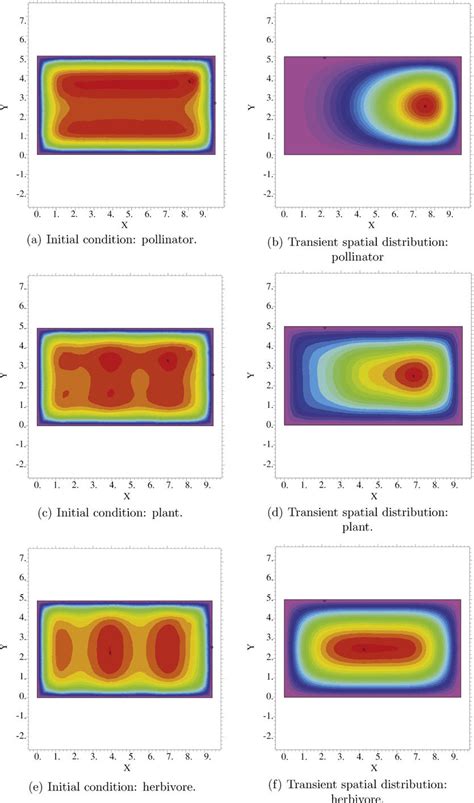 numerical solutions of an initial and homogeneous dirichlet boundary