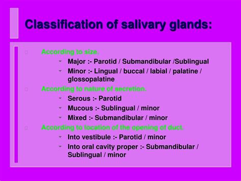 Types Of Salivary Glands Histology Ppt