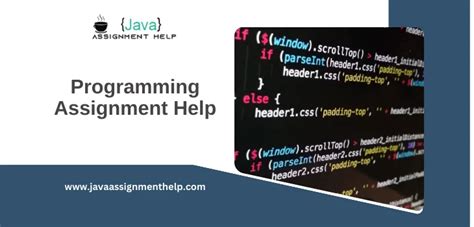 Online Programming Assignment Help From Experts