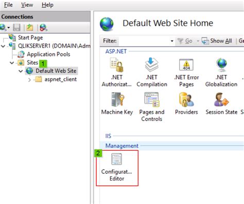 internal server error on the access point when usi qlik community