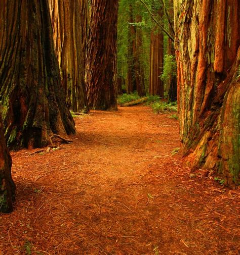 26 Amazing Hidden Gems In California The Crazy Tourist