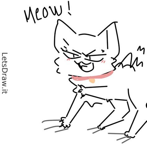 How To Draw Paw 5zffesygg Png LetsDrawIt How To Draw Paw 5zffesygg Png LetsDrawIt