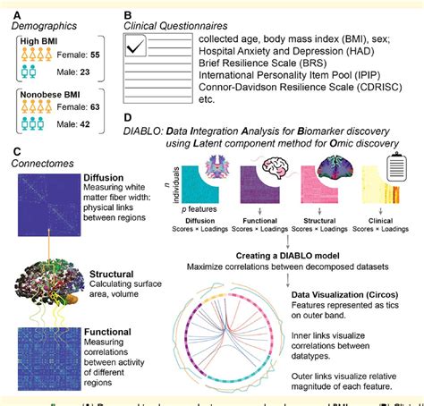 Figure 1 From Integrated Multi Modal Brain Signatures Predict Sex Specific Obesity Status