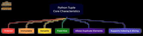 Tuple In Python With Step By Step Video Tutorial
