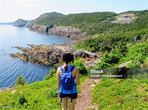 젊은 여성 등산객 대서양 위에 서 있는 거친 해안 뉴펀들랜드와 래브라도 캐나다 세인트 존의 동쪽 해안 오솔길을 따라 외부 오솔길에 대한 스톡 사진 및 기타 이미지 Istock