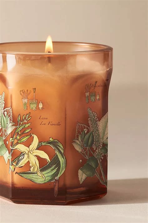 Apothecary 18 Woody Sandalwood Vanilla Small Glass Candle In 2025