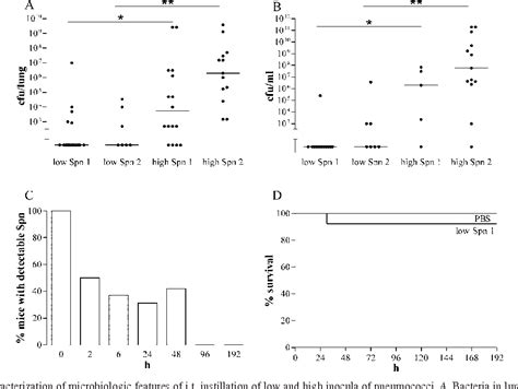 Figure 1 From Model Of Pulmonary Infection To Pneumococcal Clearance In