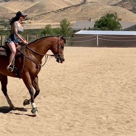 Katie Pfeffer биография рост вес размер груди