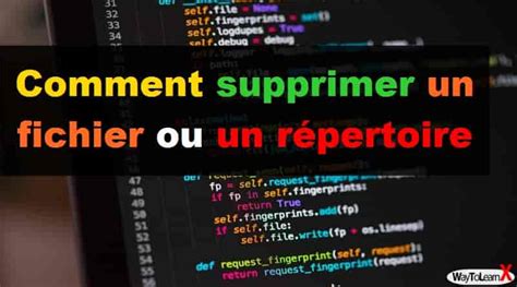 comment supprimer un fichier ou un répertoire en python waytolearnx