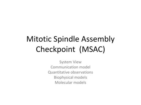 Ppt Mitotic Spindle Assembly Checkpoint Msac Powerpoint