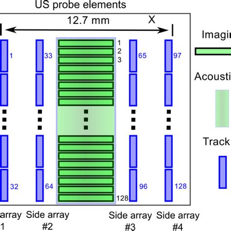 Transducer Element Layout Of The Custom Ultrasound Imaging Probe A Download Scientific Diagram