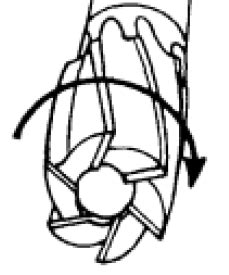 DML Midterm Flashcards Quizlet