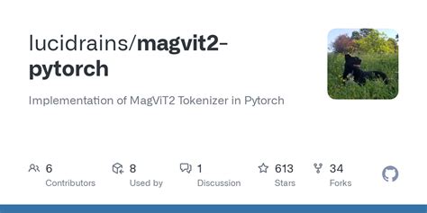 magvit2 pytorch magvit2 pytorch data py at main · lucidrains magvit2